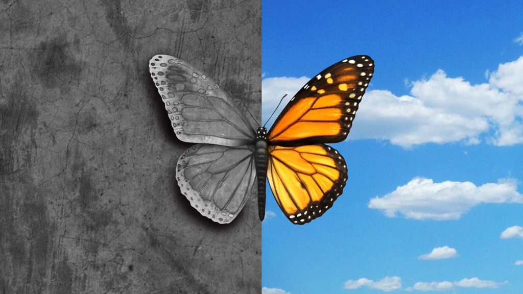 Australian Genetics of Bipolar Disorder Study – Australian Genetics of ...